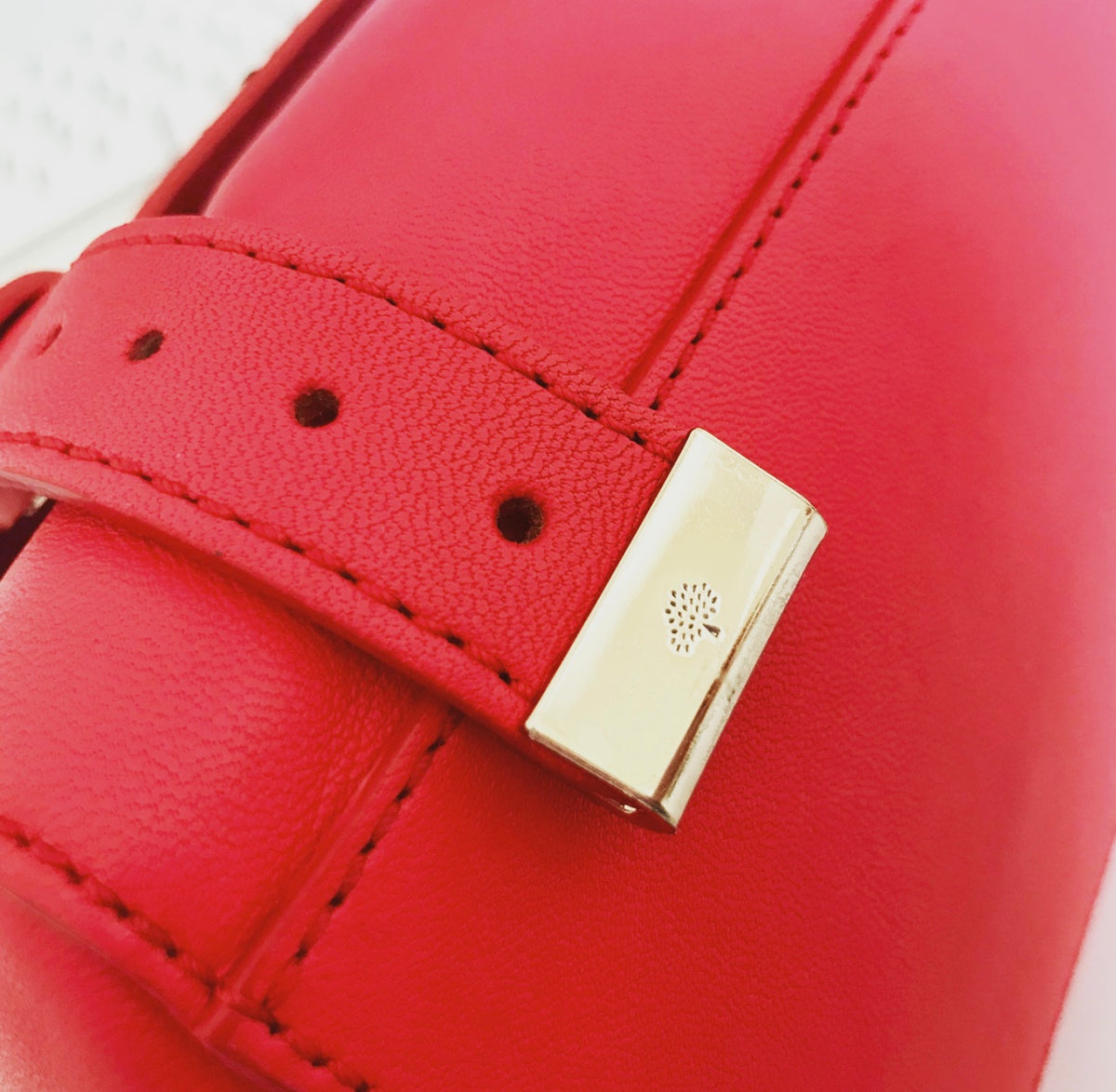 Protectors compatible with OLD Style Mini Alexa Postman Lock – Havre de ...